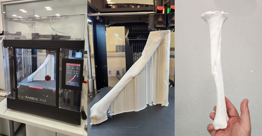 PUC-Rio Reshapes the Landscape of Medical Research and Education with ...